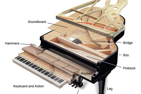 Tìm hiểu về Bảng Cộng Hưởng - Soundboard và thanh Bridge đàn piano cơ ...