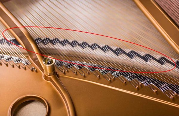 Tìm hiểu về Bảng Cộng Hưởng - Soundboard và thanh Bridge đàn piano cơ ...